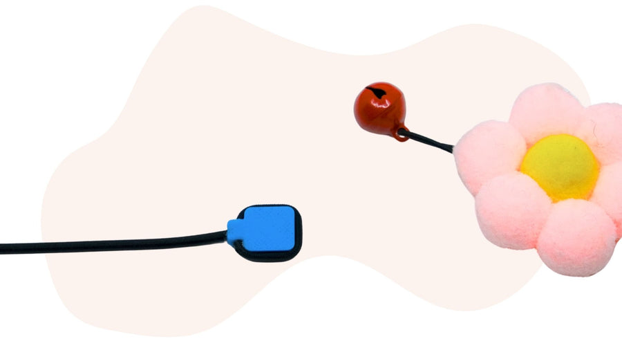 Turnipet | The Most Interactive Cat Toy: Magnetic Catch Wand