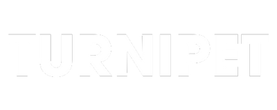 Turnipet | The Most Interactive Cat Toy: Magnetic Catch Wand