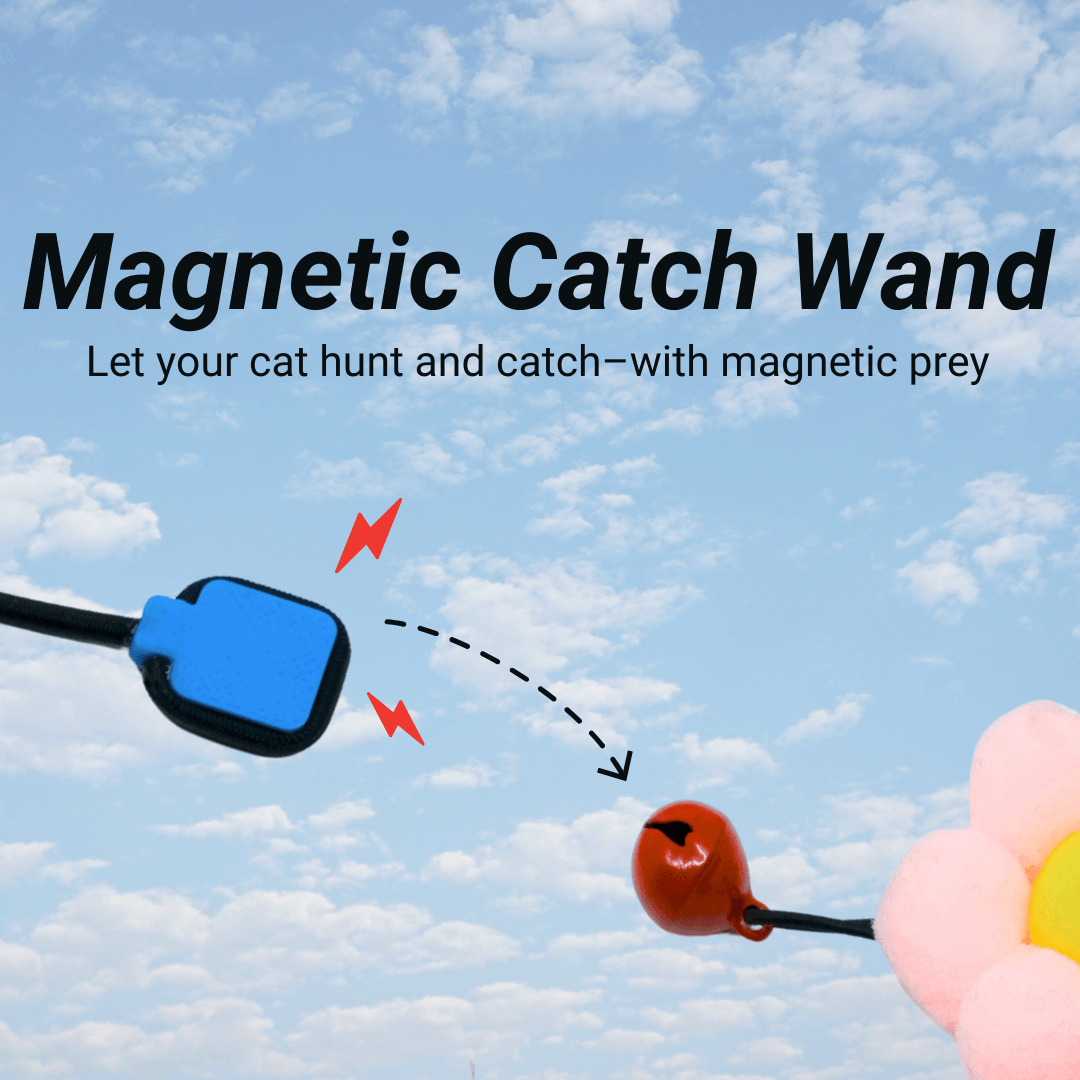 Magnetic Catch Wand - The Cat Toy That Lets Them Win – Turnipet