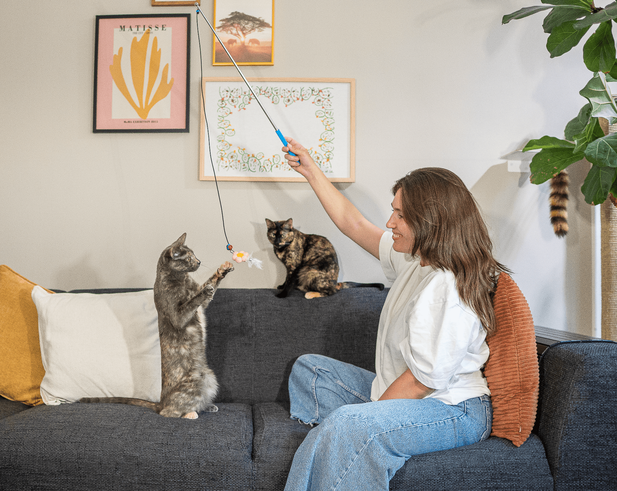 Turnipet | The Cat Toy That Lets Them Win: Magnetic Catch Wand